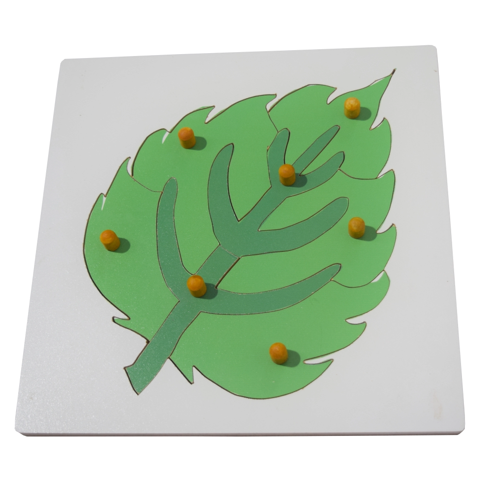Leaf Puzzle - Kidken Edu Solutions