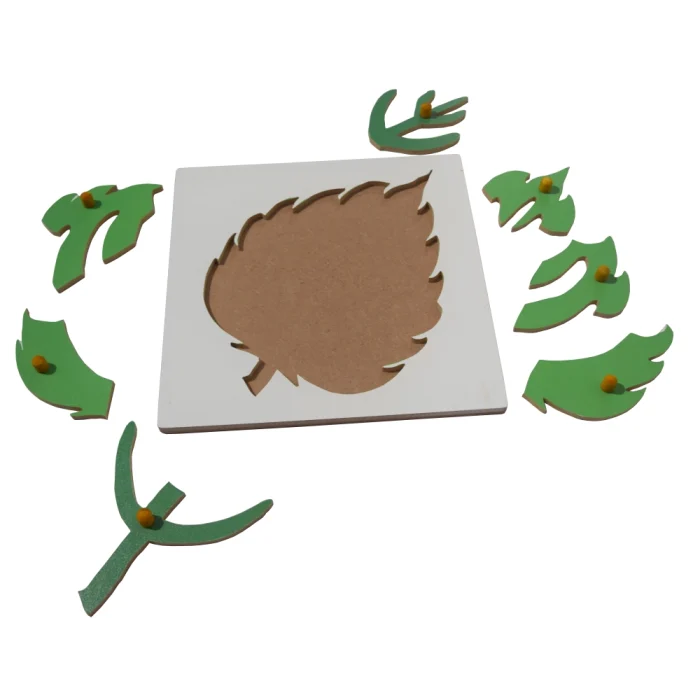 Montessori Leaf Puzzle With Knobs – Botany Learning Tool | Kidken