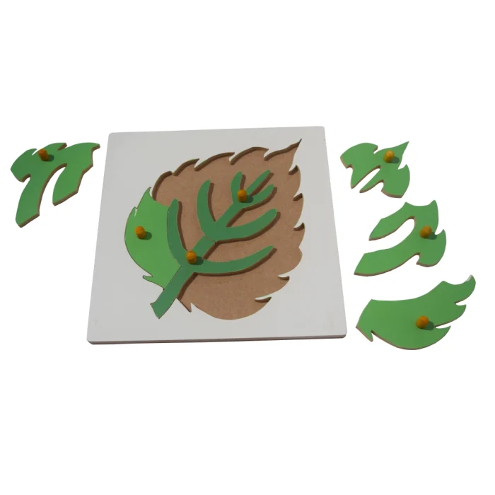 Montessori Leaf Puzzle With Knobs – Botany Learning Tool | Kidken