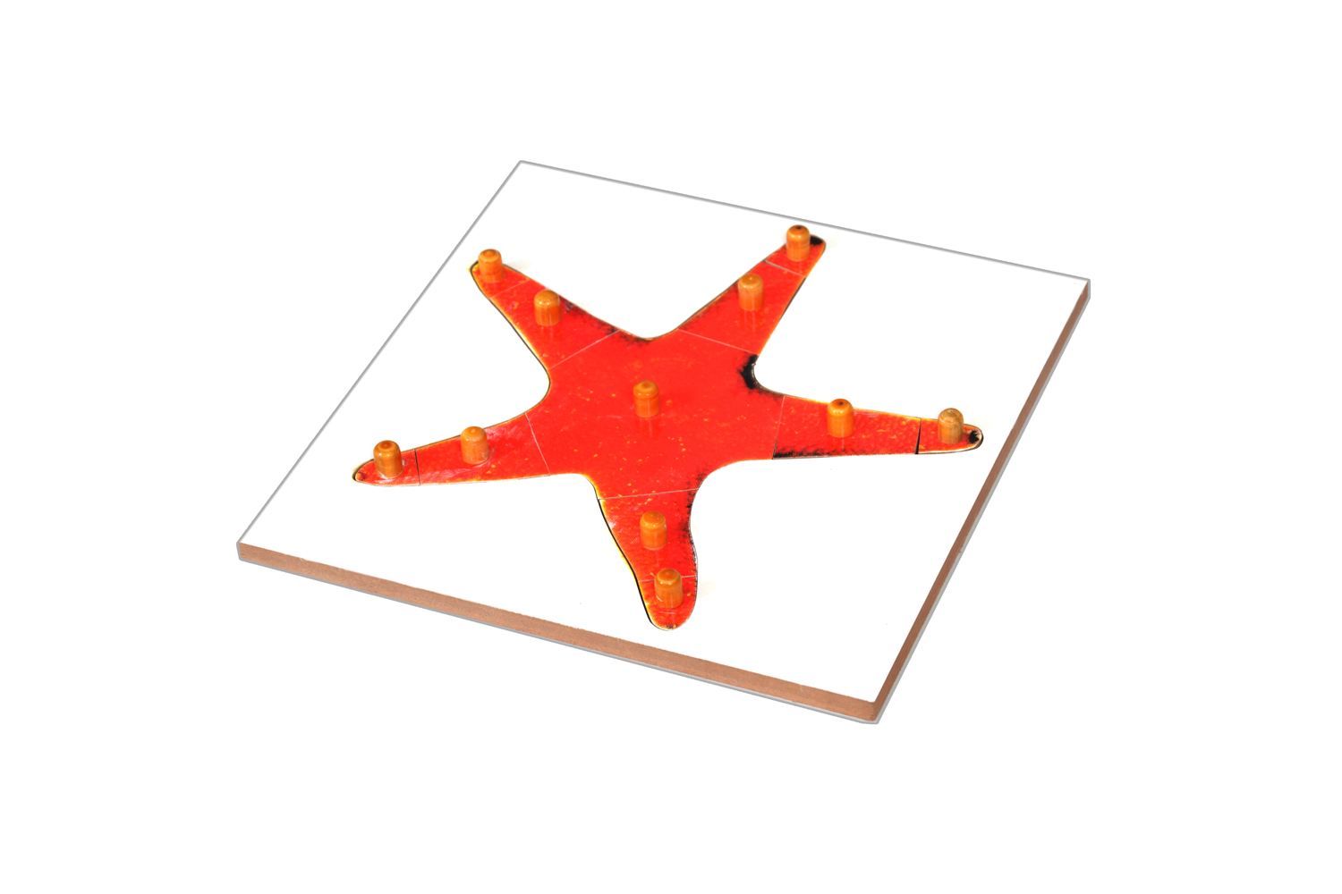 Starfish Puzzle - Kidken Edu Solutions