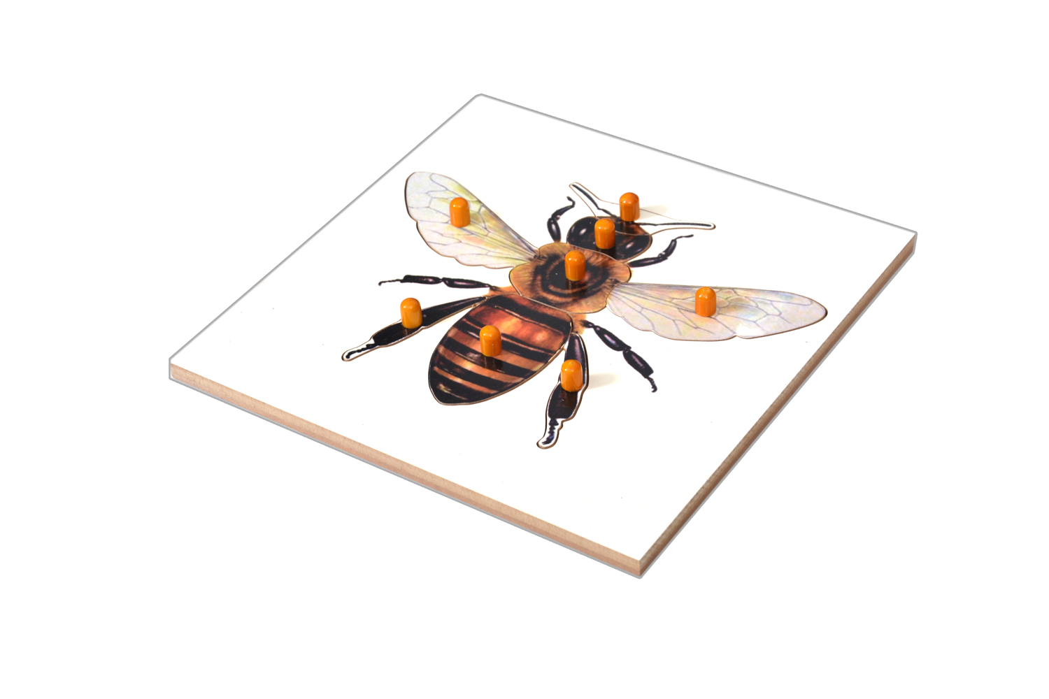 Bee Puzzle - Kidken Edu Solutions