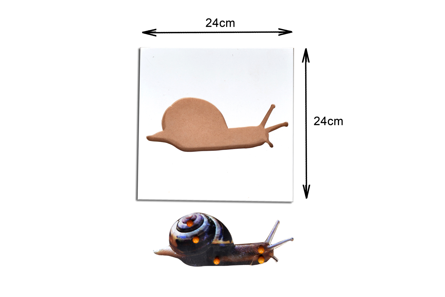 Snail Puzzle – KidKen Edu Solutions