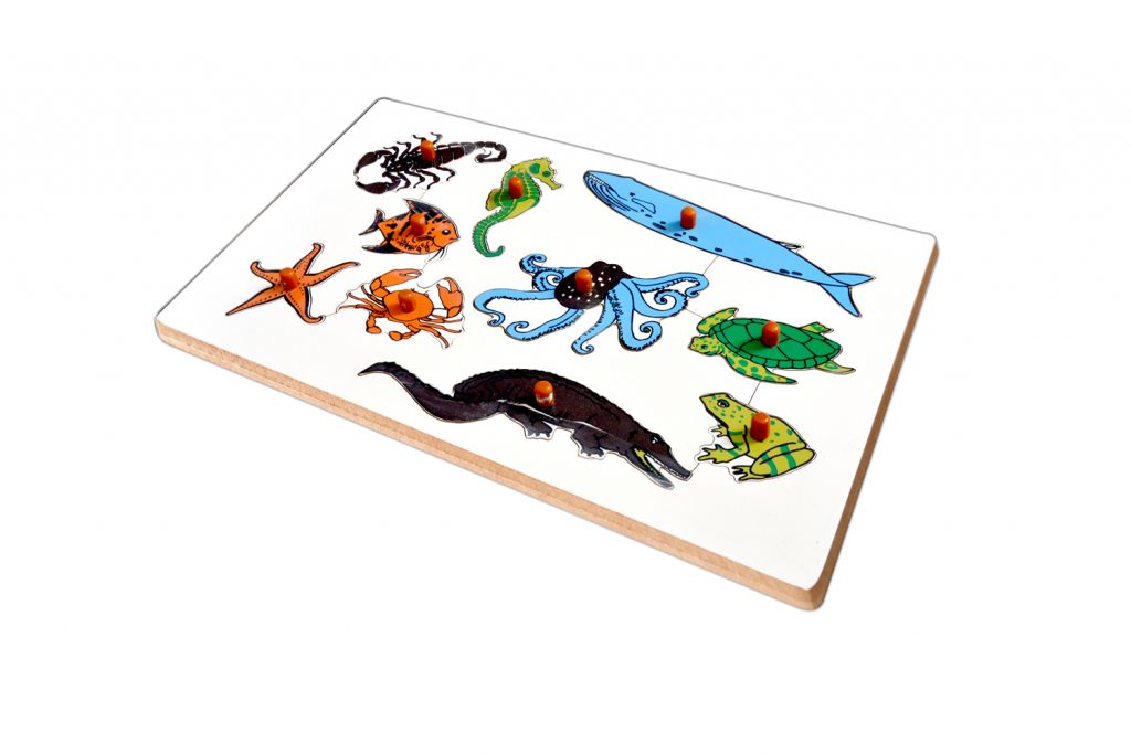 Buy Inset Boards: Aqua Animals At Best Price | KidKen Edu Solutions