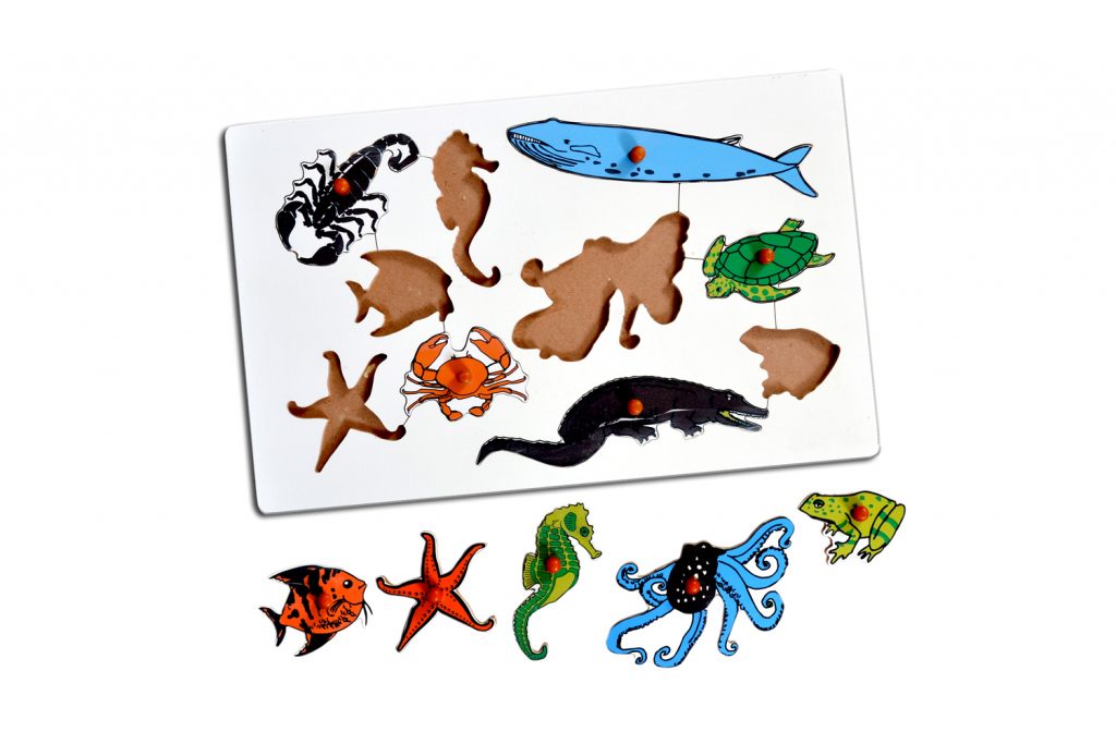 Inset Boards: Aqua Animals - KidKen Edu Solutions
