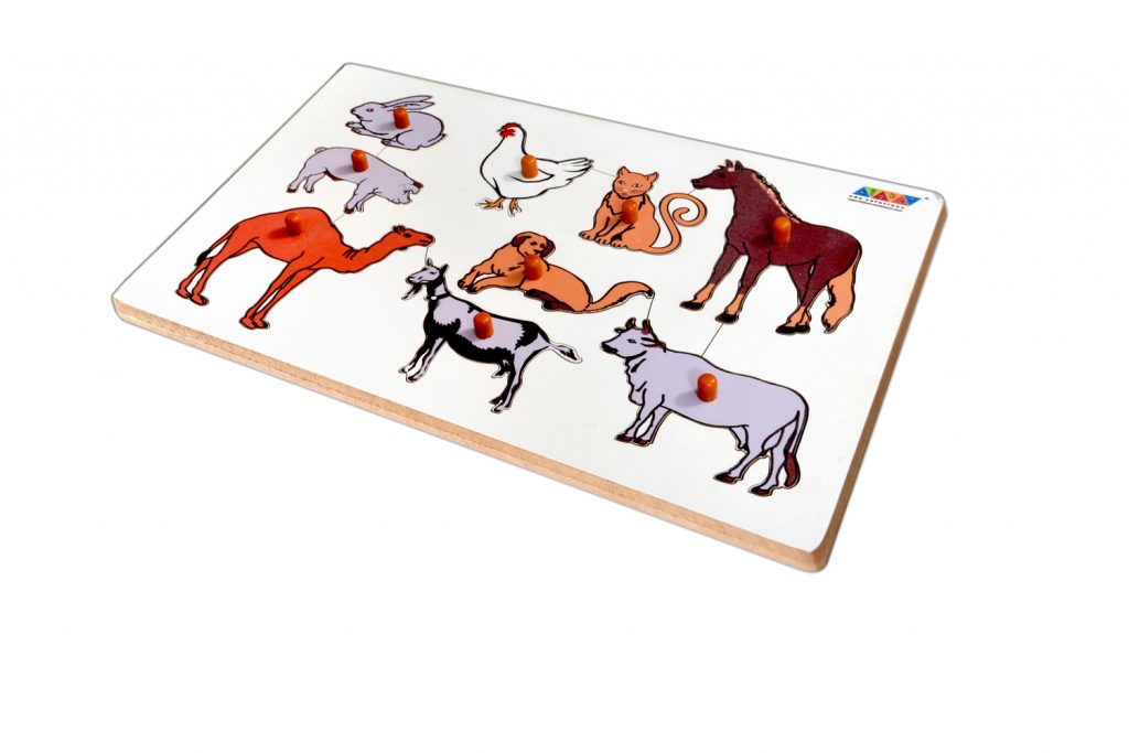 Buy Inset Boards: Pet Animals At Best Price | KidKen Edu Solutions