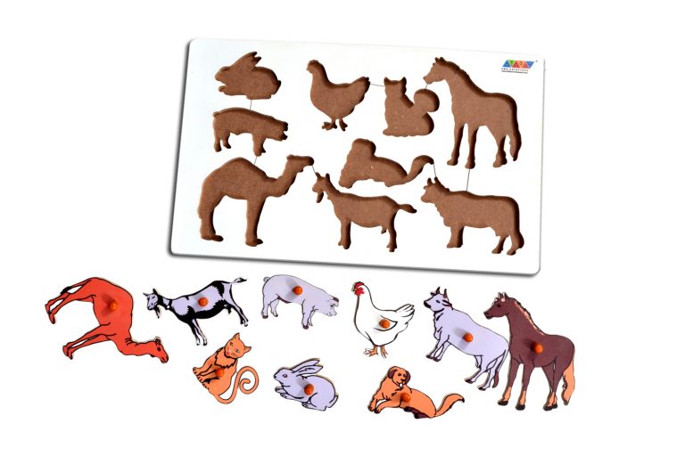 Buy Inset Boards: Pet Animals At Best Price | KidKen Edu Solutions