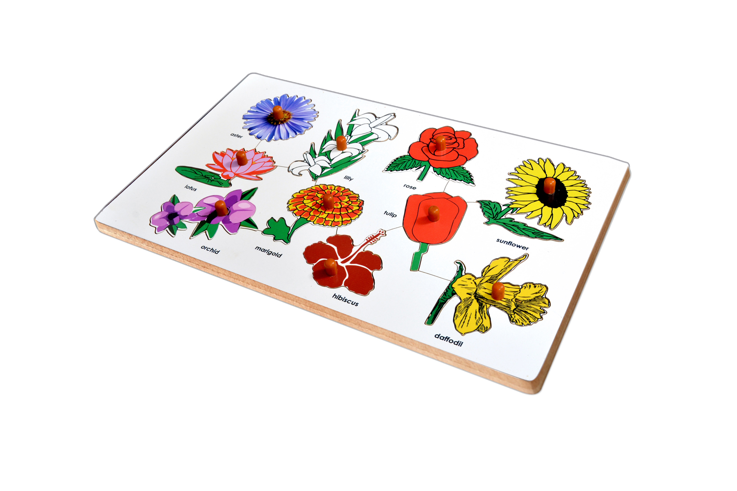 Buy Inset Boards: Flowers at best price | KidKen Edu Solutions