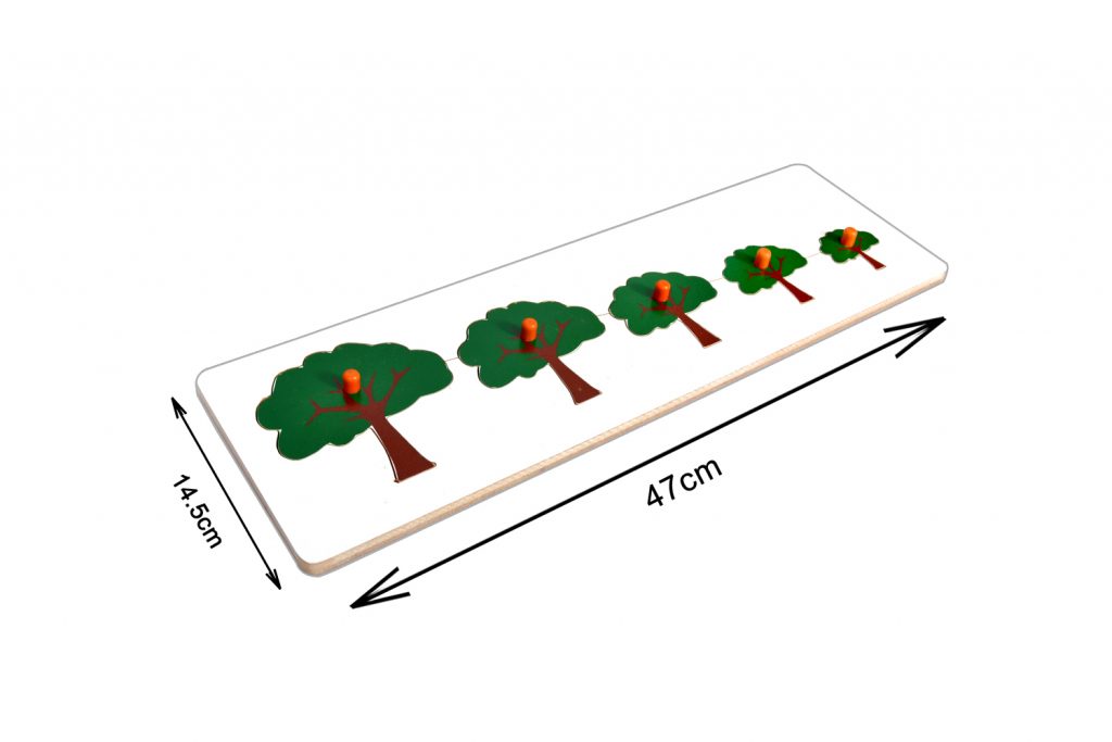 Buy Size Variation Inset Board Tree At Best Price | KidKen Edu Solutions