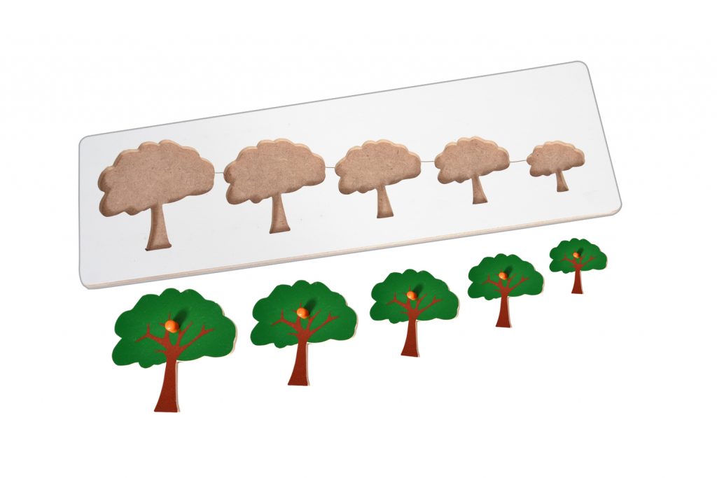 Buy Size Variation Inset Board Tree At Best Price | KidKen Edu Solutions