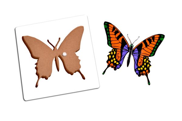 Buy Puzzle: Butterfly At Best Price | KidKen Edu Solutions Buy Puzzle: Butterfly At Best Price | KidKen Edu Solutions