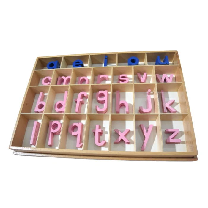 Montessori Movable Alphabet Print | Language Development