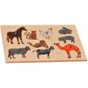 Buy Inset Boards: Pet Animals at best price | KidKen Edu Solutions