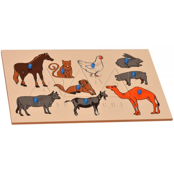 Buy Inset Boards: Pet Animals at best price | KidKen Edu Solutions