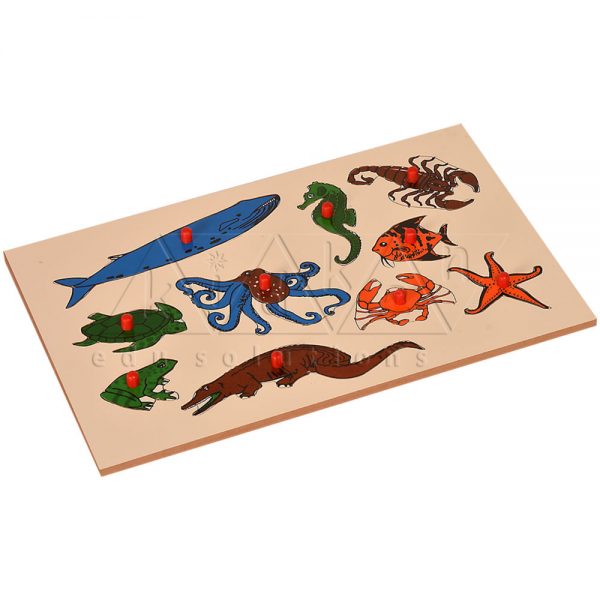 Buy Inset Boards: Aqua Animals at best price | KidKen Edu Solutions
