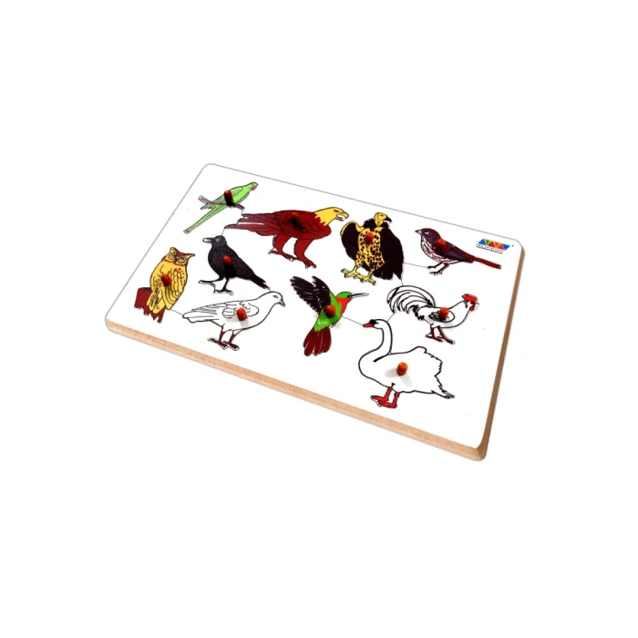 Buy Inset Boards: Birds At Best Price | KidKen Edu Solutions