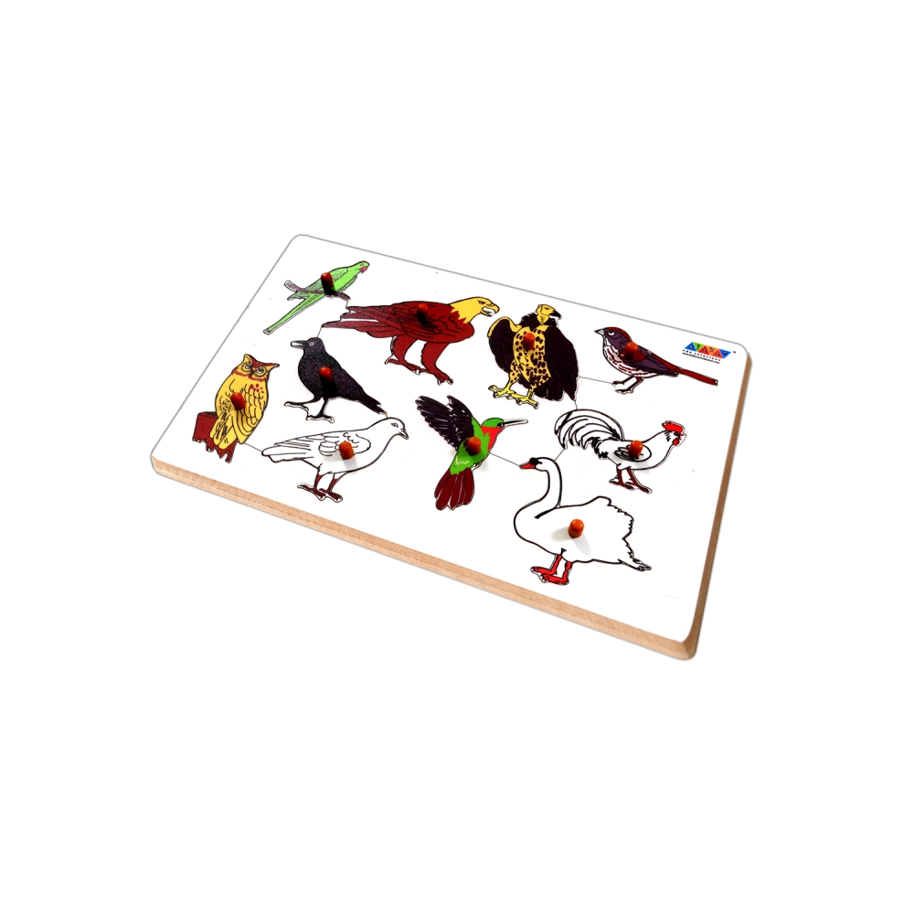 Buy Inset Boards: Birds At Best Price | KidKen Edu Solutions