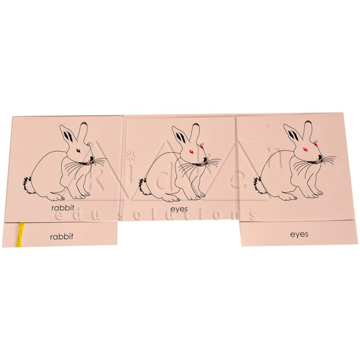Nomenclature Cards - Rabbit - Kidken Edu Solutions,Nomenclature Cards ...