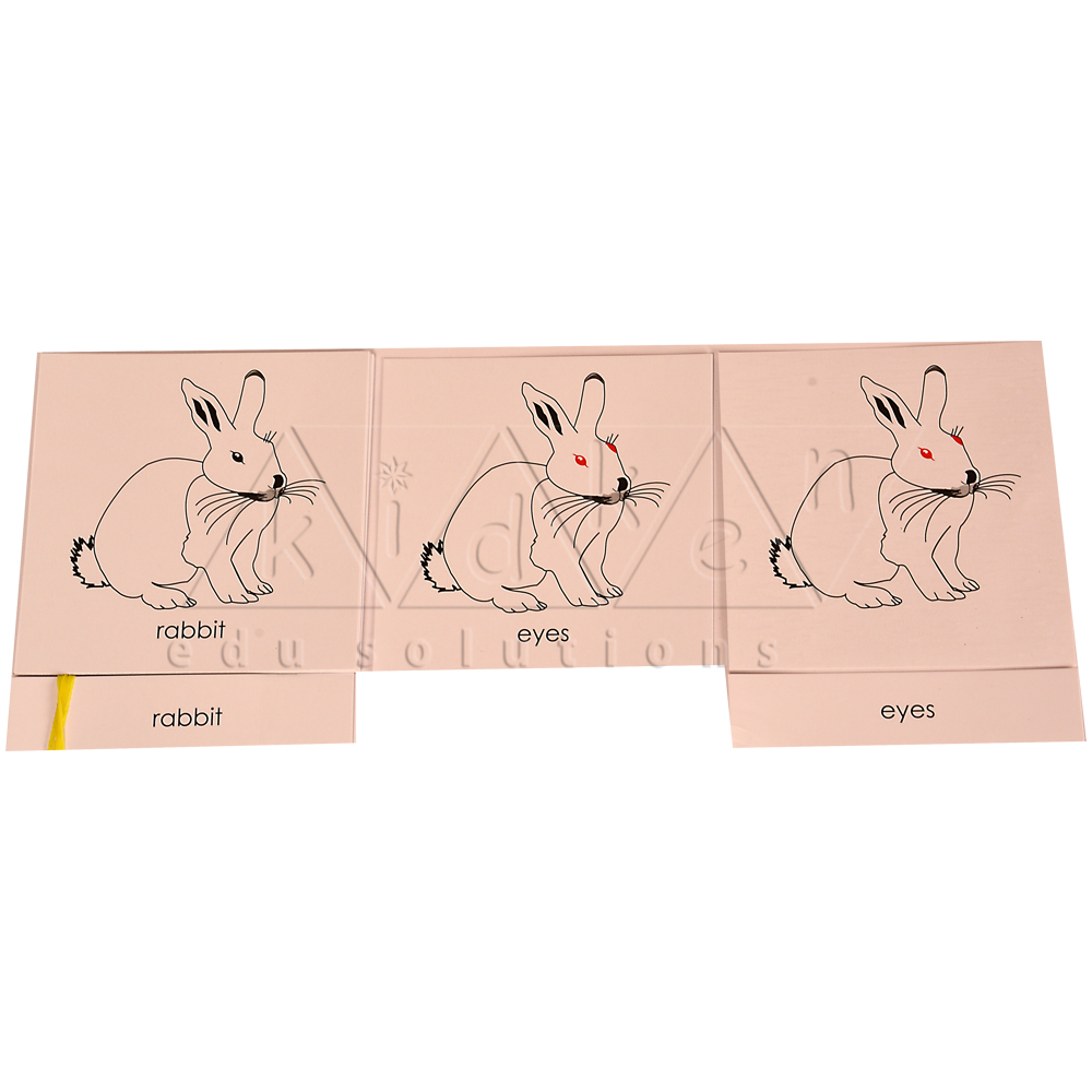 Nomenclature Cards - Rabbit - Kidken Edu Solutions,Nomenclature Cards ...