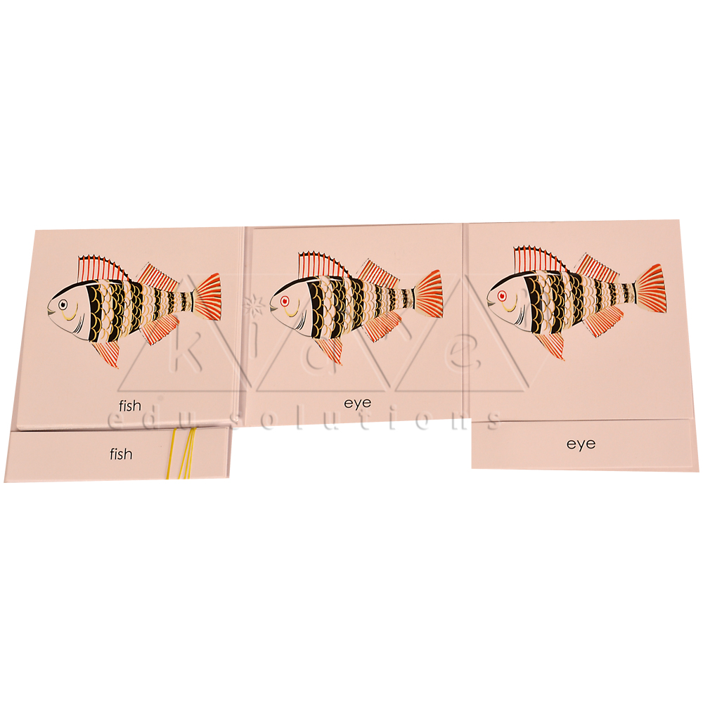 Buy Nomenclature Cards - Fish At Best Price | KidKen Edu Solutions