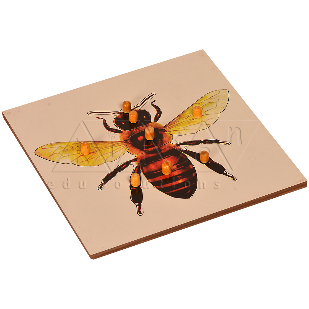Bee Puzzle - Kidken Edu Solutions