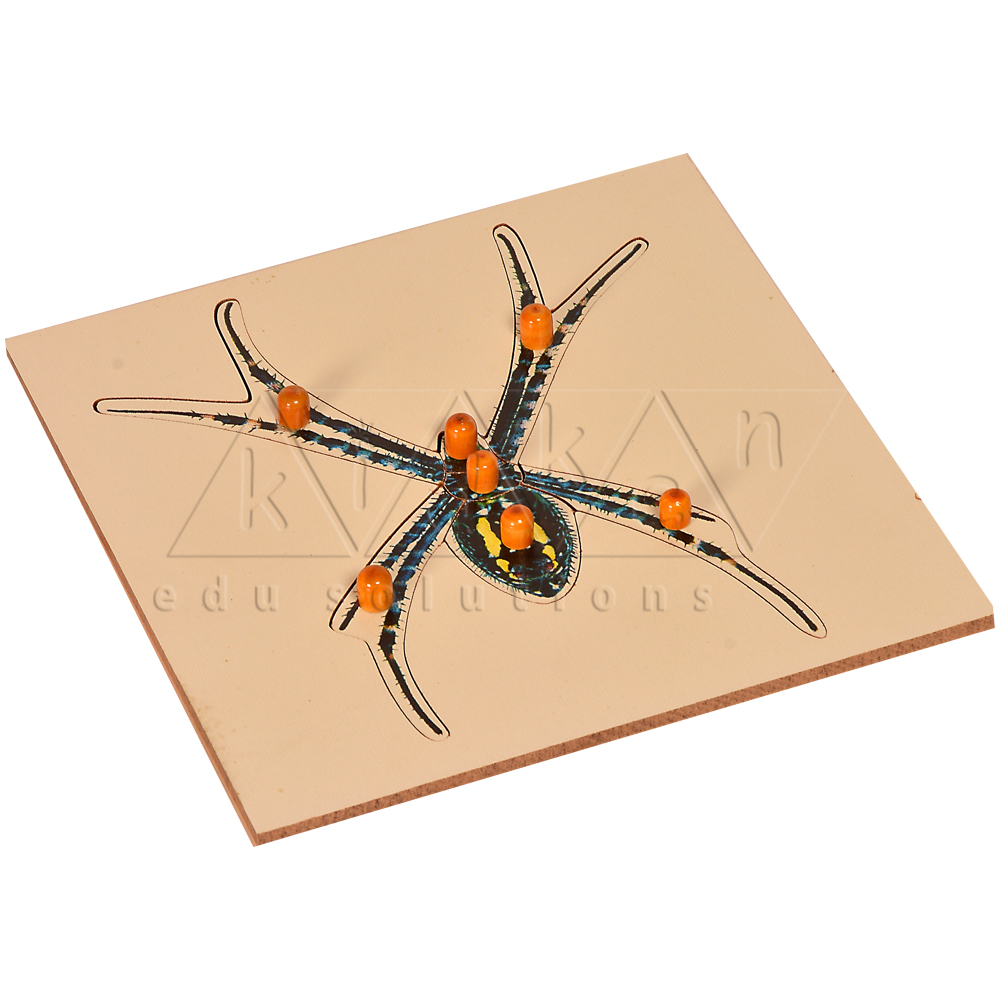 Spider Puzzle - Kidken Edu Solutions