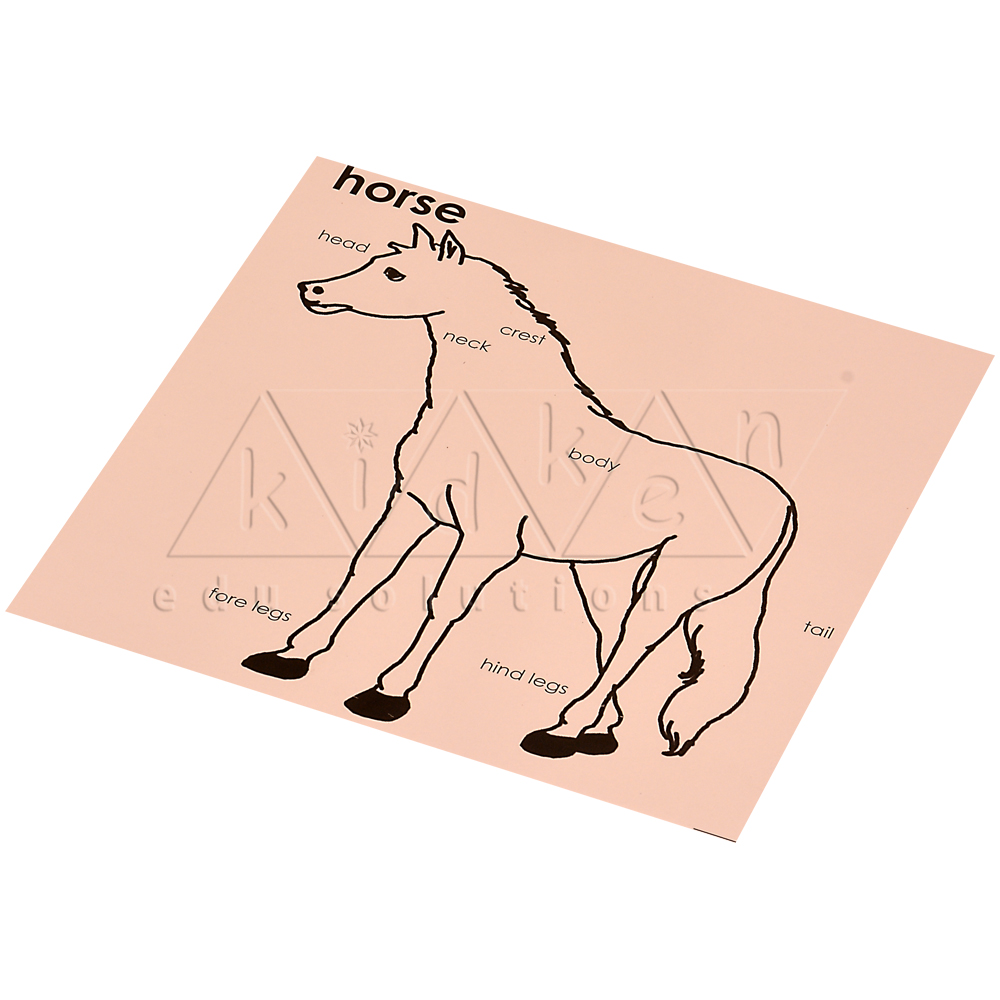 Control cards for Horse Puzzle - KidKen Edu Solutions