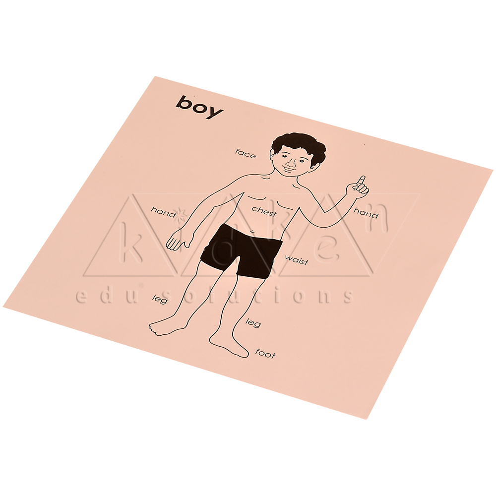 Control cards for Boy Puzzle – KidKen Edu Solutions