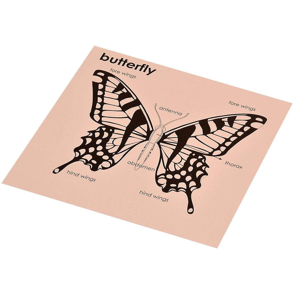 Control Cards For Butterfly Puzzle - Kidken Edu Solutions