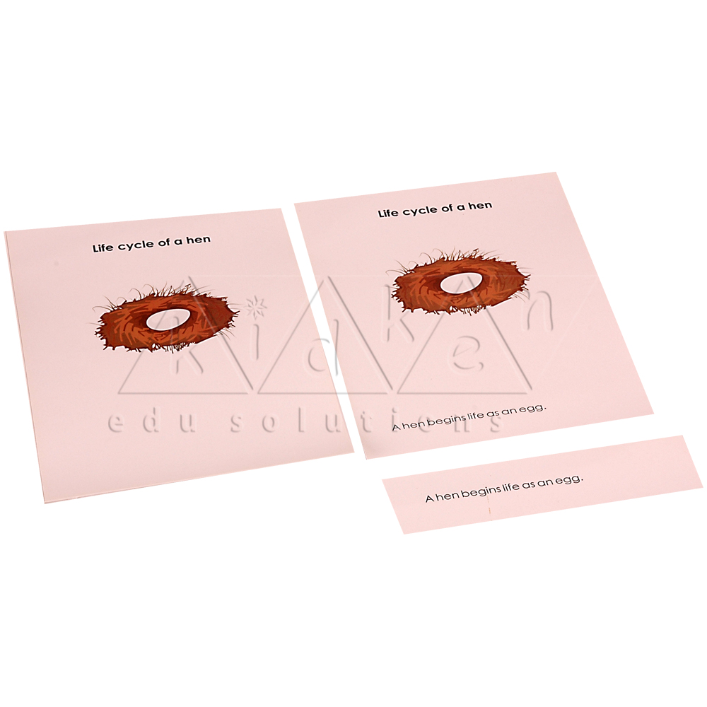 Lifestory Freize of a hen – KidKen Edu Solutions Lifestory Freize of a hen – KidKen Edu Solutions