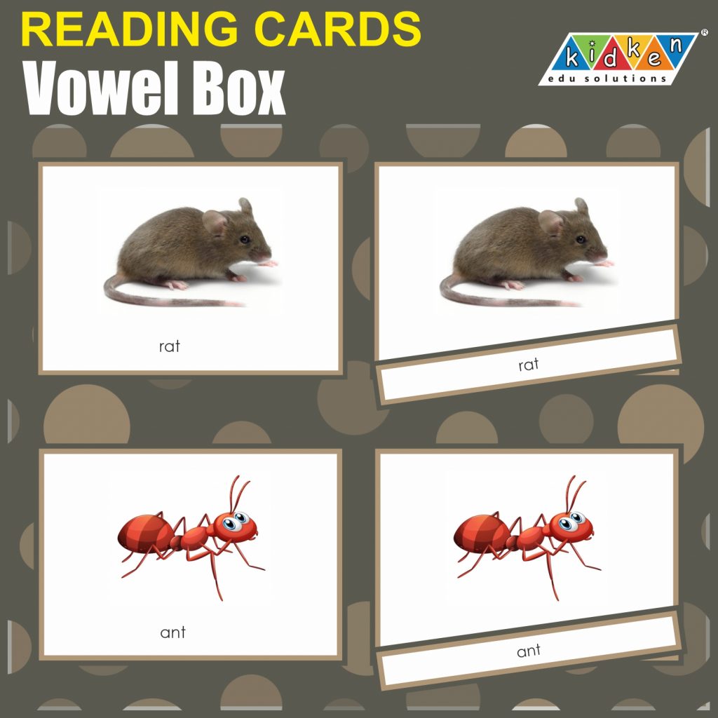 Buy Reading Cards - Vowel Box At Best Price | KidKen Edu Solutions